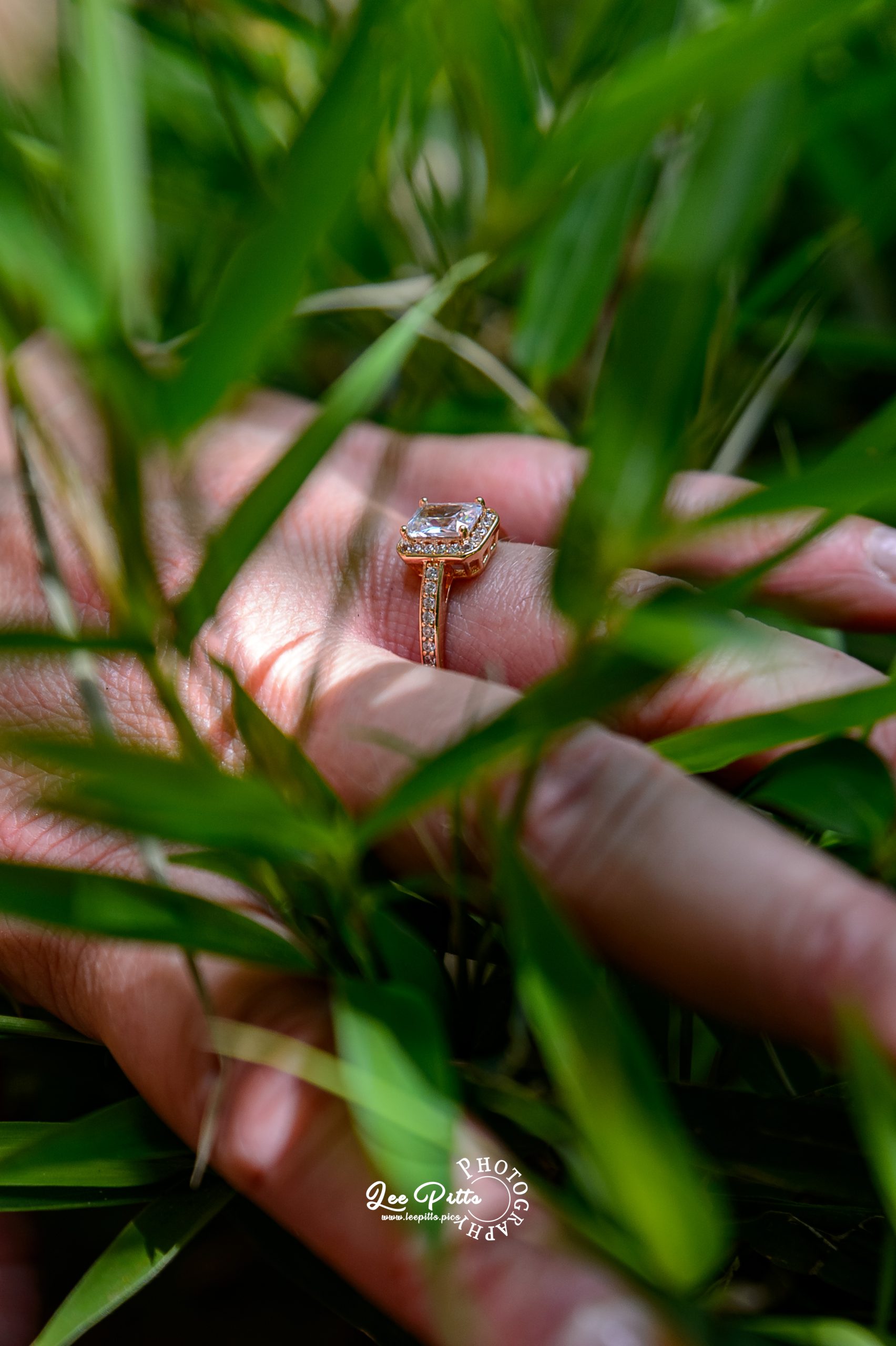 Unveiling Love's Depths - Lee Pitts Photography