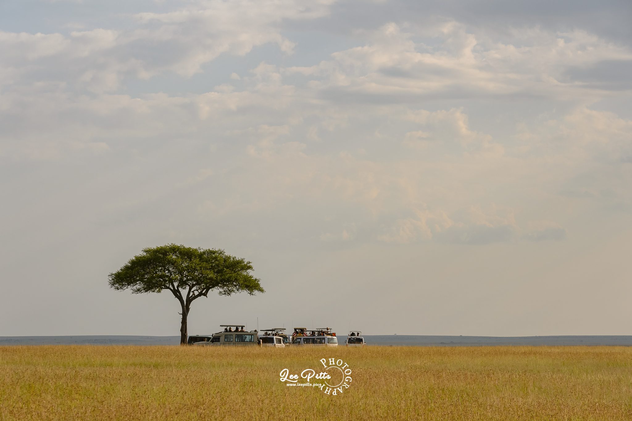 My Journey in Photography - Lee Pitts Photography